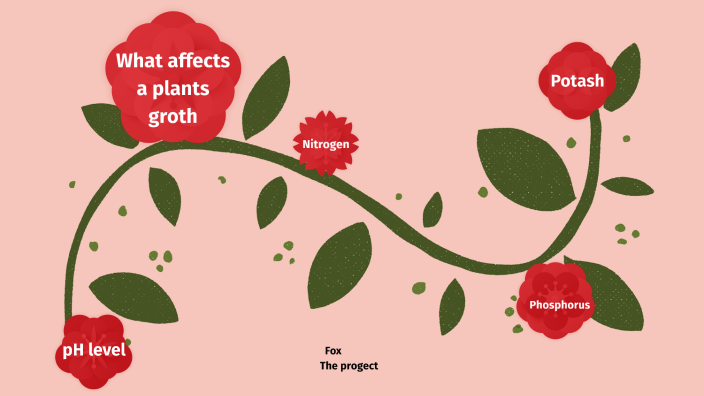 variables on plants by Fox Rivera on Prezi