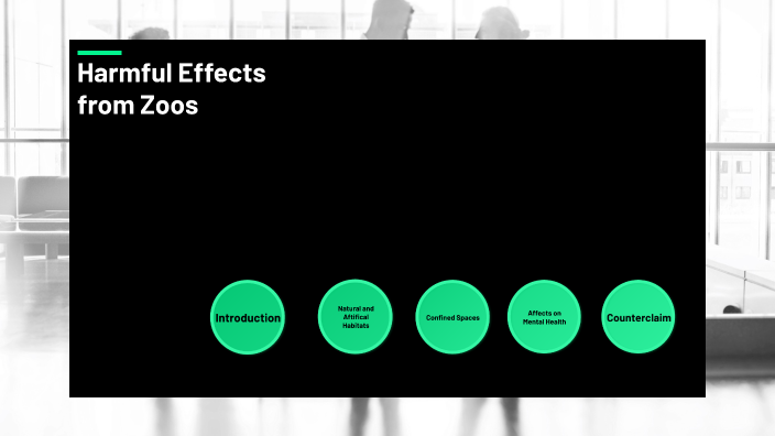 Harmful Effects from Zoos by Lily Schultz-Miller on Prezi