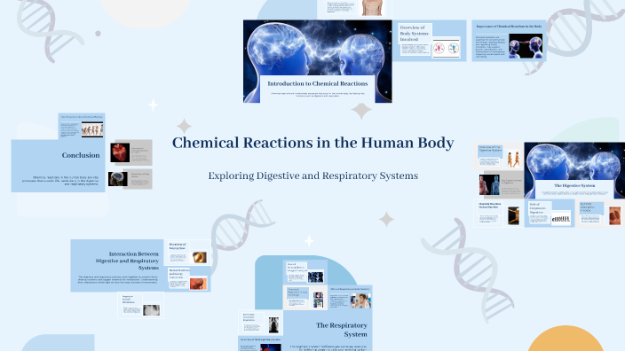 Chemical Reactions in the Human Body by judy elsisi on Prezi