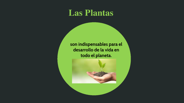 LAS PLANTAS by Brenda Julissa Charcopa Castillo on Prezi
