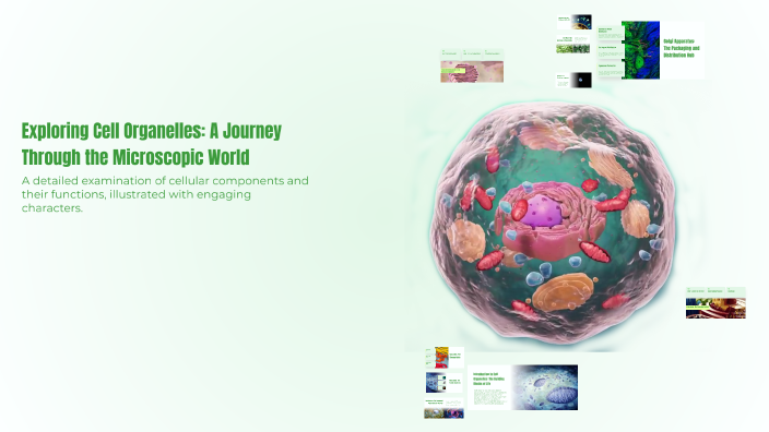 Exploring Cell Organelles: A Journey Through the Microscopic World by ...