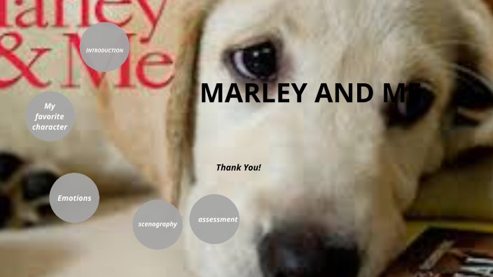 MARLEY AND ME by milena otalora on Prezi