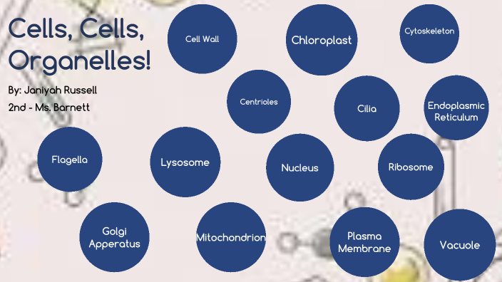 Organelle Project - Janiyah Russell by Janiyah Russell on Prezi