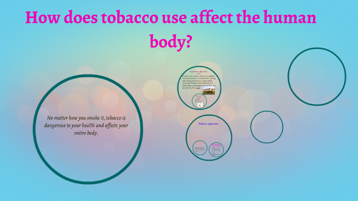 How does tobacco affect the body system by semhal kiflom on Prezi