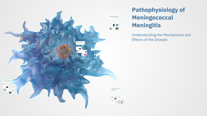 Pathophysiology of Meningococcal Meningitis by Adam Mesa on Prezi