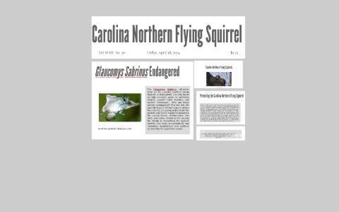 Carolina Northern Flying Squirrel by Alyssa Cribb on Prezi