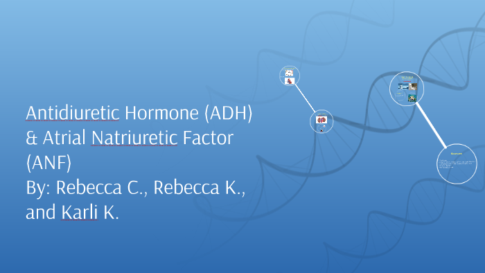 Antidiuretic Hormone (ADH) & Atrial Natriuretic Factor (ANF) by Rose ...