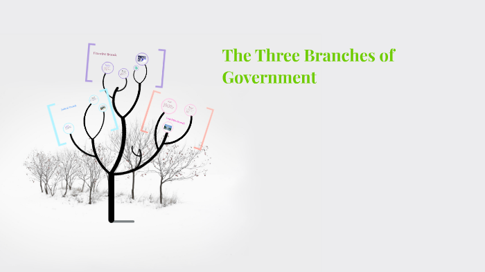 The Three Branches of Power by Madeline Pavlov on Prezi