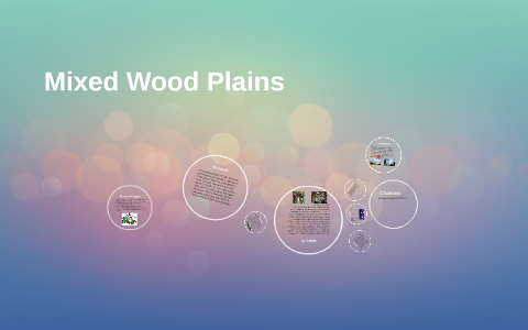 Mixed Wood plains by Reece Rodych on Prezi