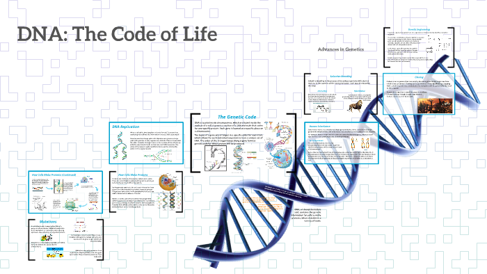 DNA: The Code of Life by Alyssa Cunningham on Prezi