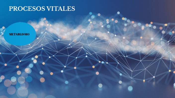 PROCESOS VITALES by Antonia on Prezi