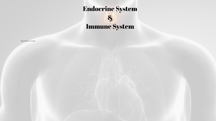 Endocrine System / Immune System by Tabitha Antonaros on Prezi