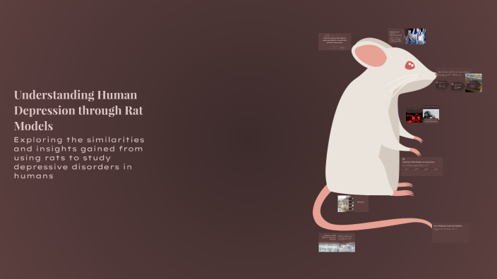 Understanding Human Depression through Rat Models by Riri Konsi on Prezi