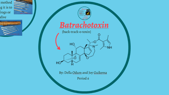 Batrachotoxin by Della Odum on Prezi
