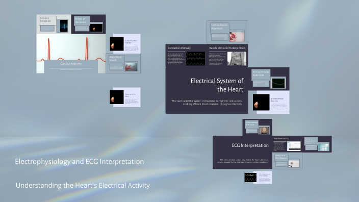 Electrophysiology and ECG Interpretation by Zachary Goodsell on Prezi