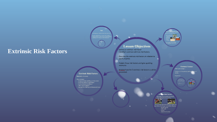 Extrinsic Risk Factors by Michelle McManus on Prezi