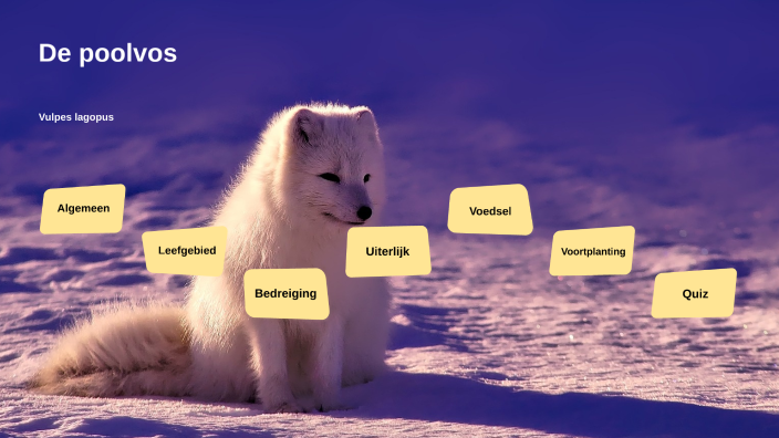 De poolvos by Nikki Pietersen on Prezi