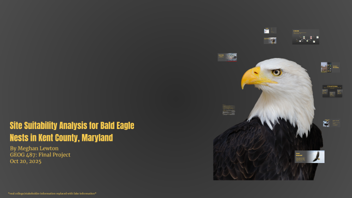 GIS Workflow for Bald Eagle Nesting Site Suitability Analysis by Meghan Lewton on Prezi