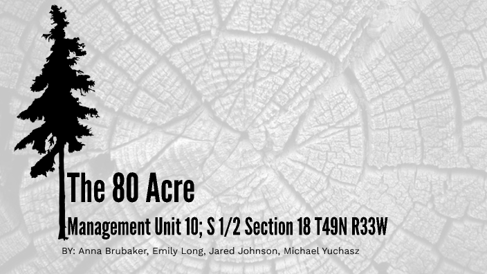 The 80 Acre by Emily Long on Prezi