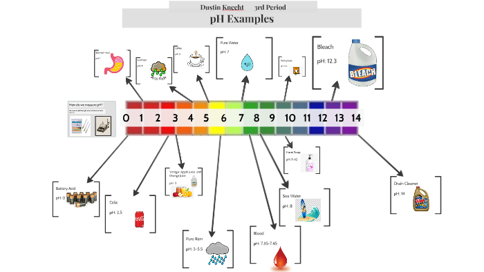 pH Examples by Dustin Knecht on Prezi