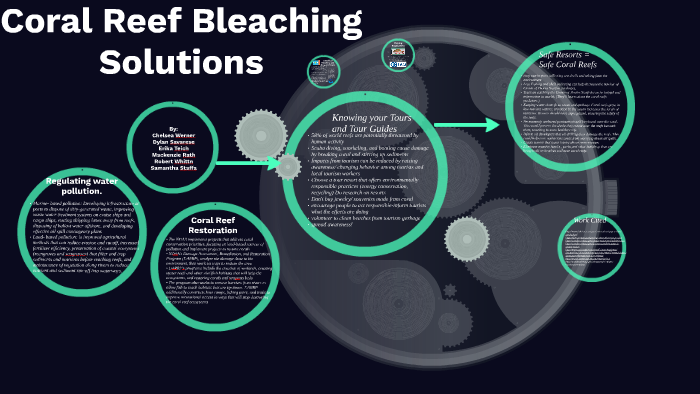 Coral Reef Bleaching Solutions by Chelsea Werner on Prezi