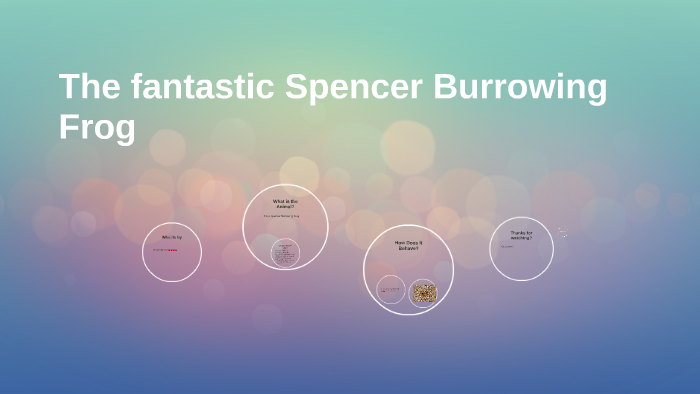 The fantastic Spencer burrowing frog by Liliana Taylor on Prezi