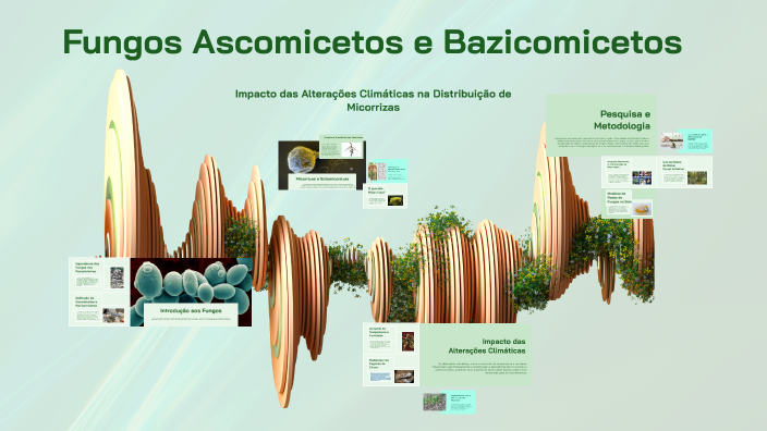 Fungos Ascomicetos e Bazicomicetos by Tayna Fernandes Nunes on Prezi