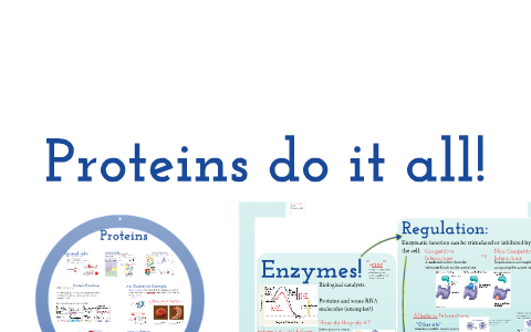 AP Bio #5 - Proteins and Enzymes by Kristin Tran on Prezi