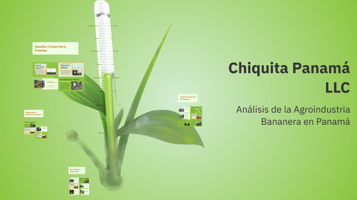 Chiquita Panamá LLC by Franceschi Steven on Prezi