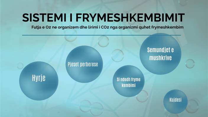 SISTEMI I FRYMESHKEMBIMIT by savina rrasa on Prezi