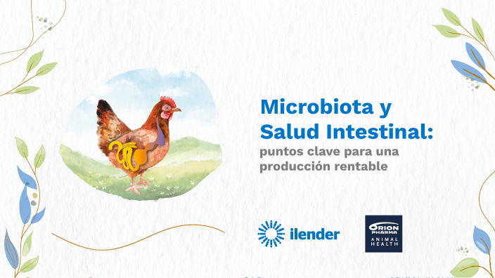 Broilact by Lizbeth Romero on Prezi