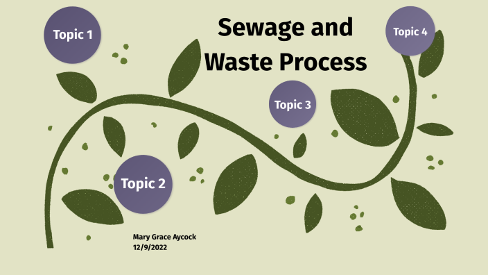 Sewage/Waste Process Map by Mary Aycock _ Student - ApexFriends on Prezi