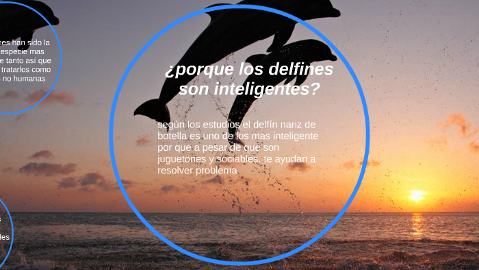 ¿porque los delfines son inteligentes? by sarisbel fuentes on Prezi