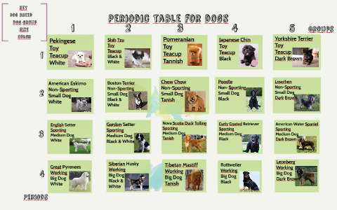 Periodic Table of Dogs by jannet rodriguez on Prezi