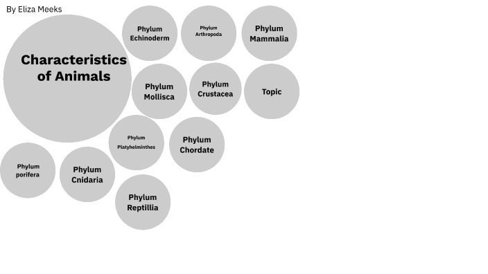 Kingdom Animalia Eliza Meeks 1st Period by Eliza Meeks on Prezi