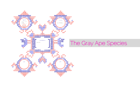 The Gray Ape Species by Maddy H on Prezi