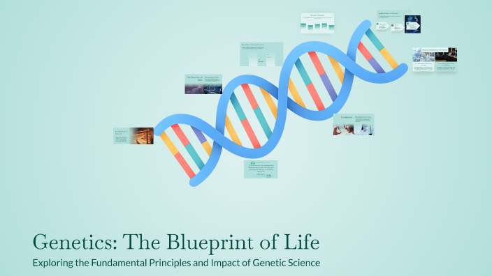 Genetics: The Blueprint of Life by Auritra Sarkar on Prezi