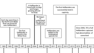 Ozark Hellbenders Timeline by Elton Lindau on Prezi Design
