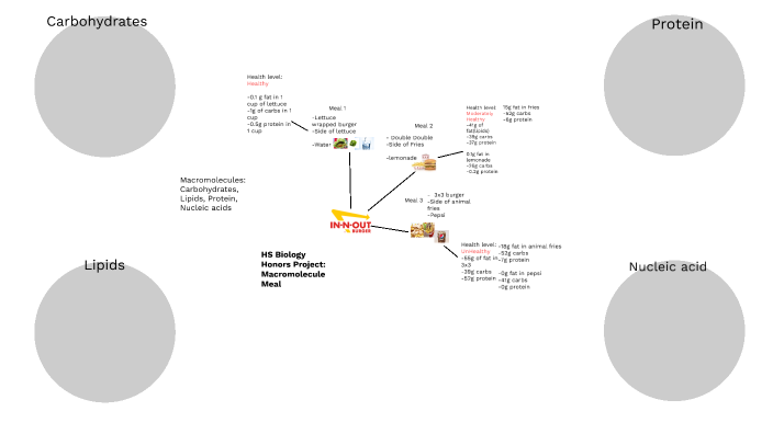 HS Biology Honors Project: Macromolecule Meal Project by Jude Warkentin ...