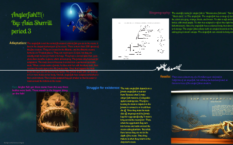 Evolution of Anglerfish!!!(: by Asia Sherrill on Prezi