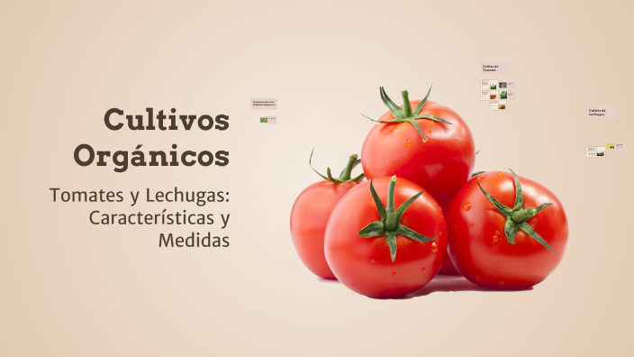 Cultivos Orgánicos by Leandra Jiménez on Prezi