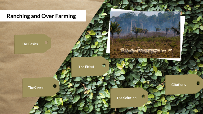 Ranching and Over farming by Brooklynn Lowry on Prezi