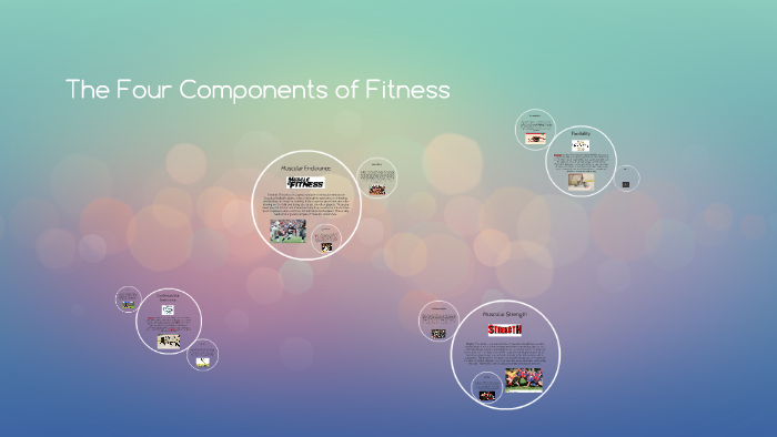 The Four Components of Fitness by svl lebert on Prezi