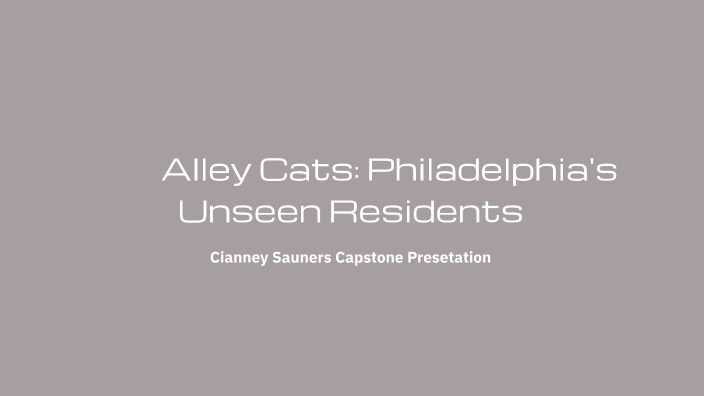 Alley Cats: Philadelphia's Unseen Residents by Cianney Saunders on Prezi