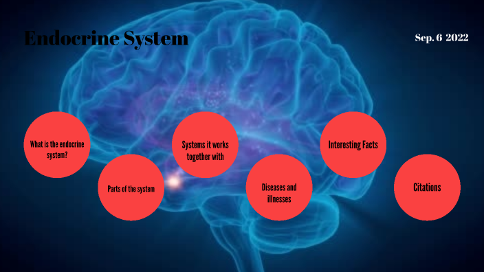 Endocrine System by Marissa Gandolf on Prezi