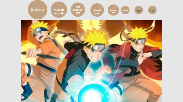 Cell Analogy Project (Naruto Style) by Erin Plymale on Prezi