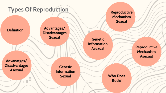 Types Of Reproduction by chloe b on Prezi
