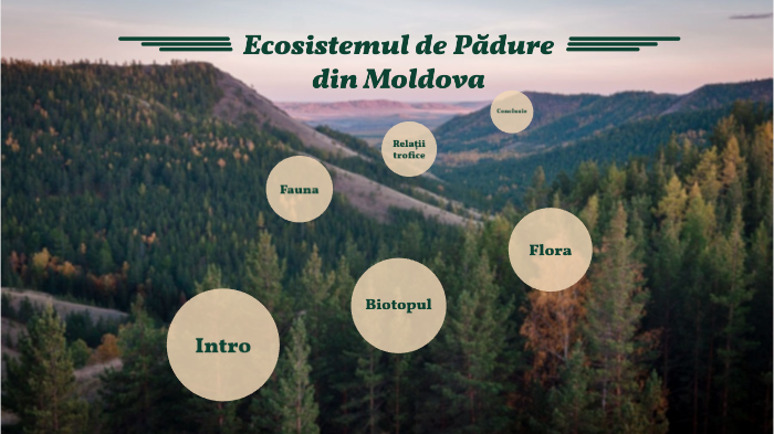Ecosistemul de padure by Daniela Vornic on Prezi