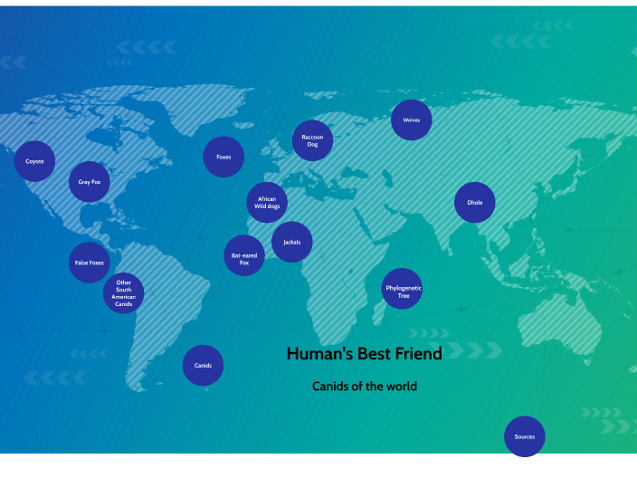 Human's Best Friend by Jaedyn Grant on Prezi