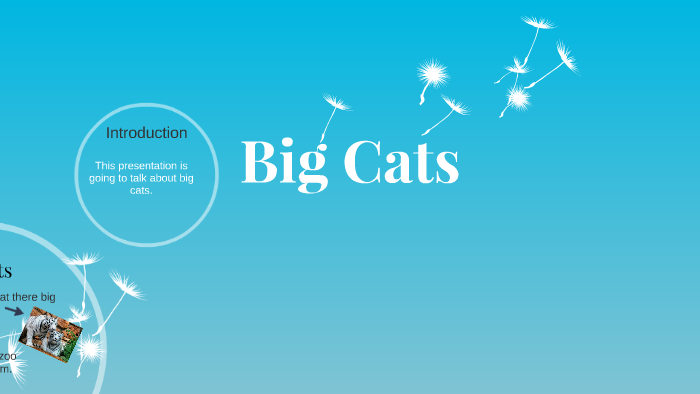Animals by Jessica Leedham on Prezi